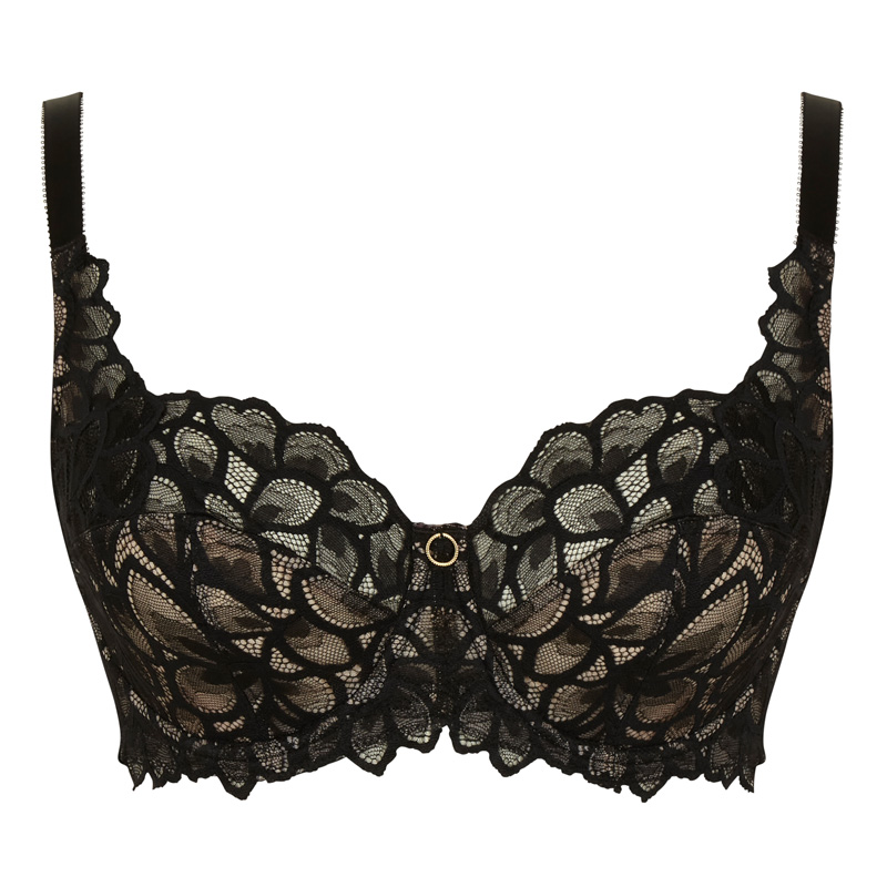 Panache Allure Full Cup BH Black Latte - Annadiva