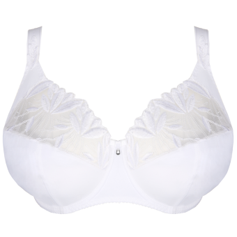 BH - Basic lingerie - Grote Cupmaten & Cup A, B en C.